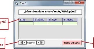 Show Database Record in MSHFlexGrid in VB6.0 through ADODC ...