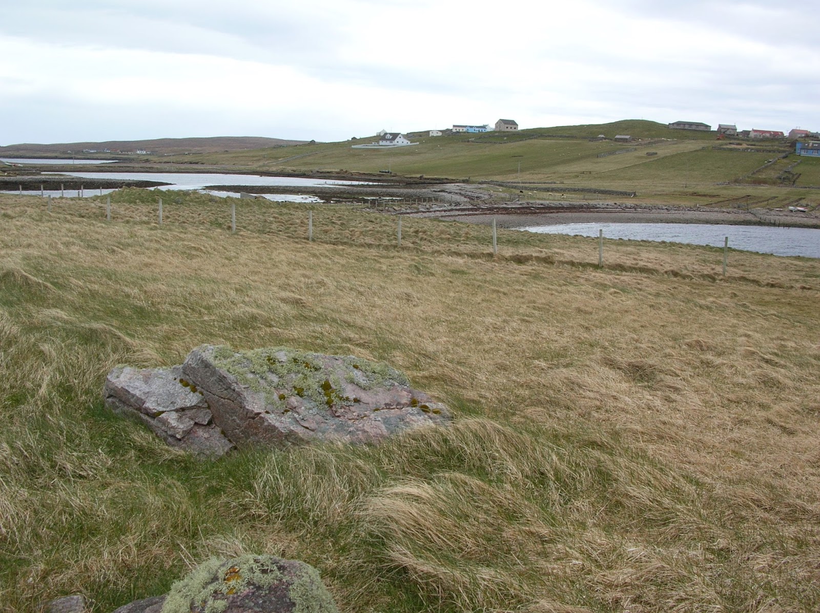A lifetime of Islands: Island 200 - Suther Ness, Whalsay, Shetland