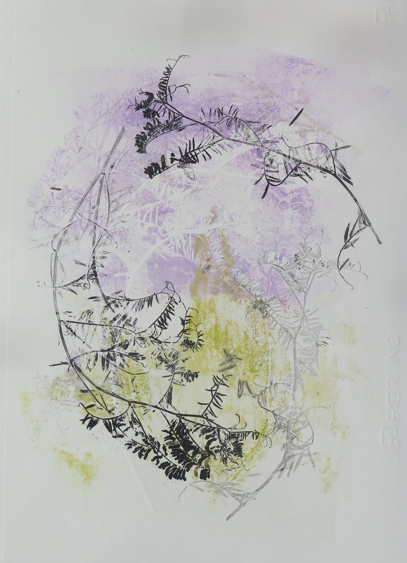 Stef Mitchell - Field and Hedgerow