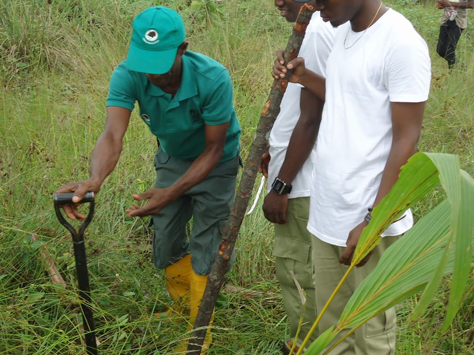 Eco club tree planting exercise in finima market road bonny island ...