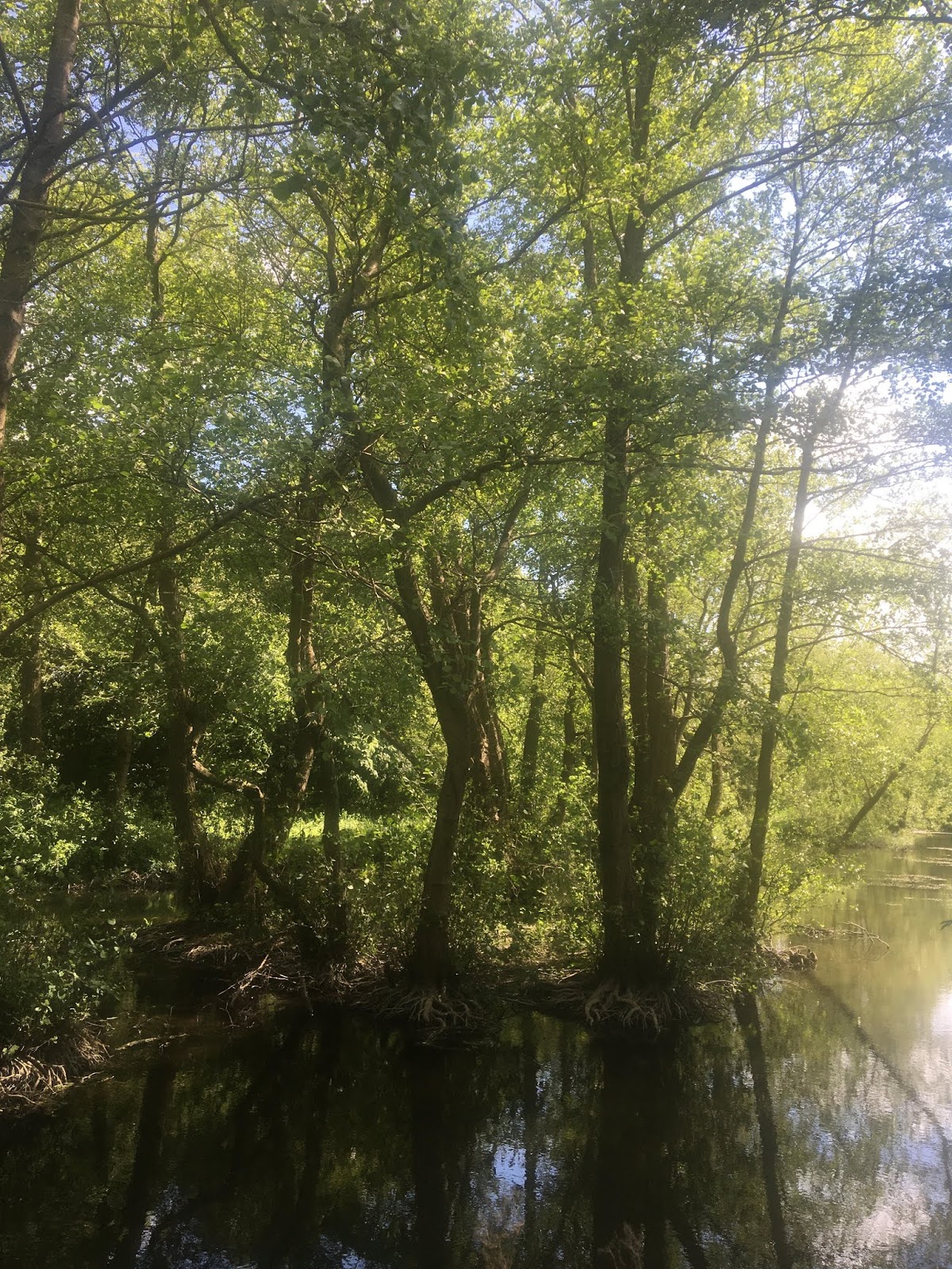 Bicester to Trow Pools