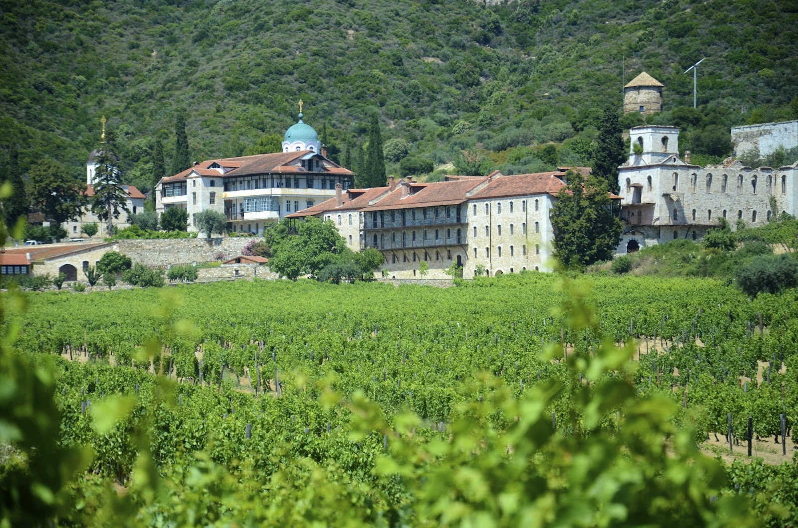 TheWineBlog: A great discovery in Greece (for male #winelover-s only ...