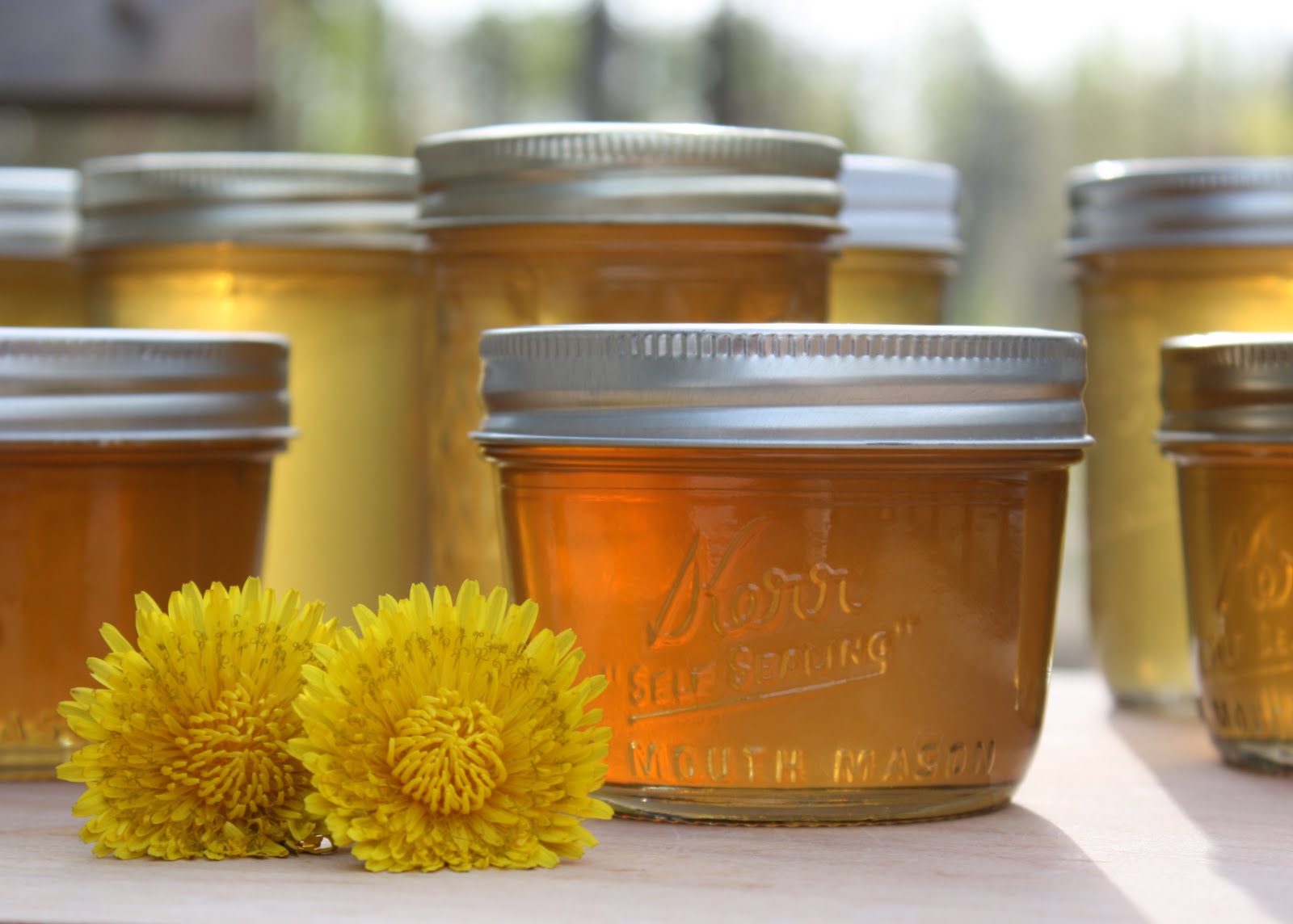 lil fish studios: Delicious Dandelions
