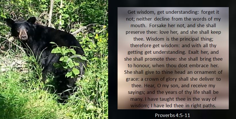 Digging a Well Ministries: GET WISDOM