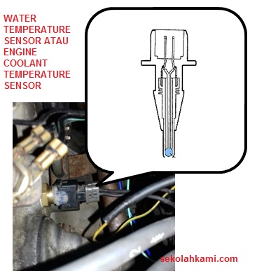 Fungsi Dan Cara Kerja Water Temperature Sensor