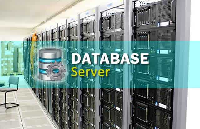 Memahami Pengertian dan Sejarah Database Server Untuk Pemula