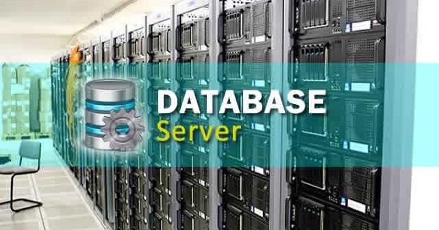 Memahami Pengertian dan Sejarah Database Server Untuk Pemula
