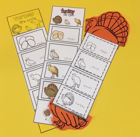 Turkey Life Cycle Sequencing Craft (updated file) ~ Preschool Printables