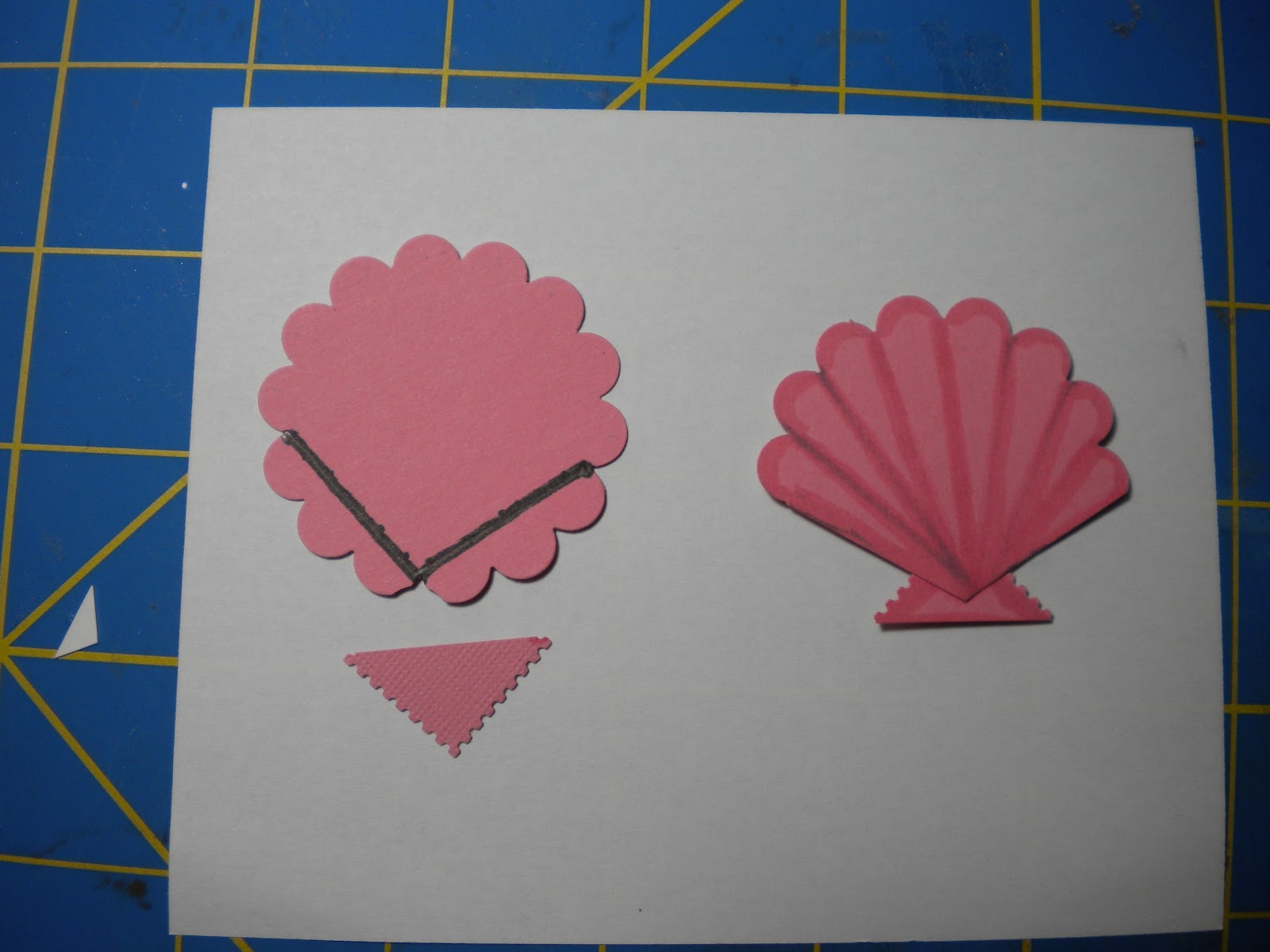 Nothin' Fancy: Seashell Made With Punches