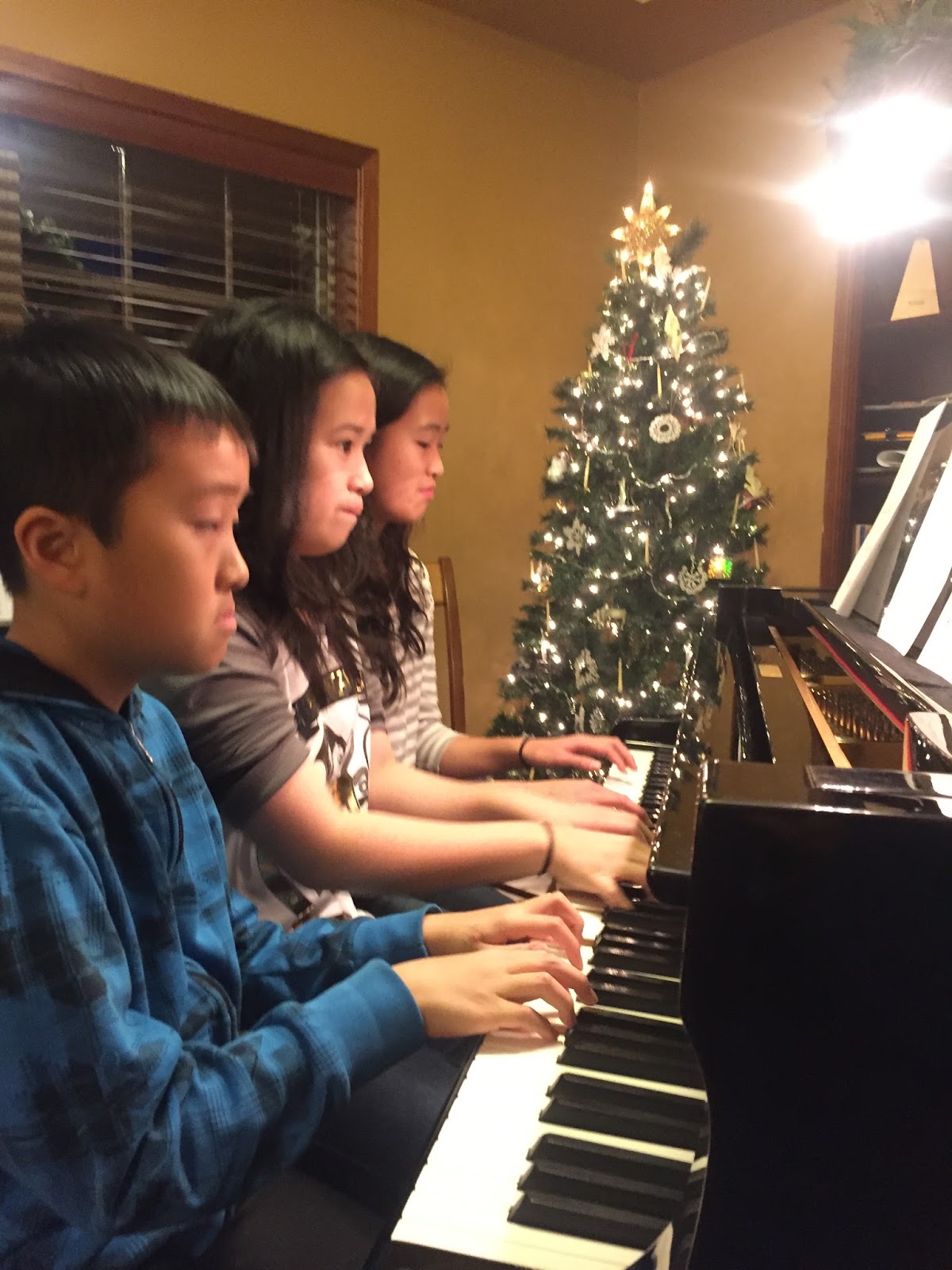 Grace Notes Music Studio: The Studio Environment