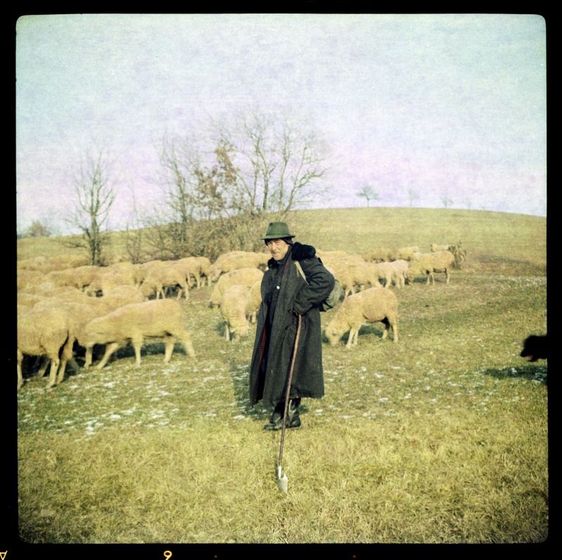 Incredible Found Photos That Document Everyday Life of Rural Germany ...