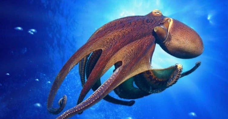 Saving Themselves From Predators: Intelligent Surviving Techniques in ...