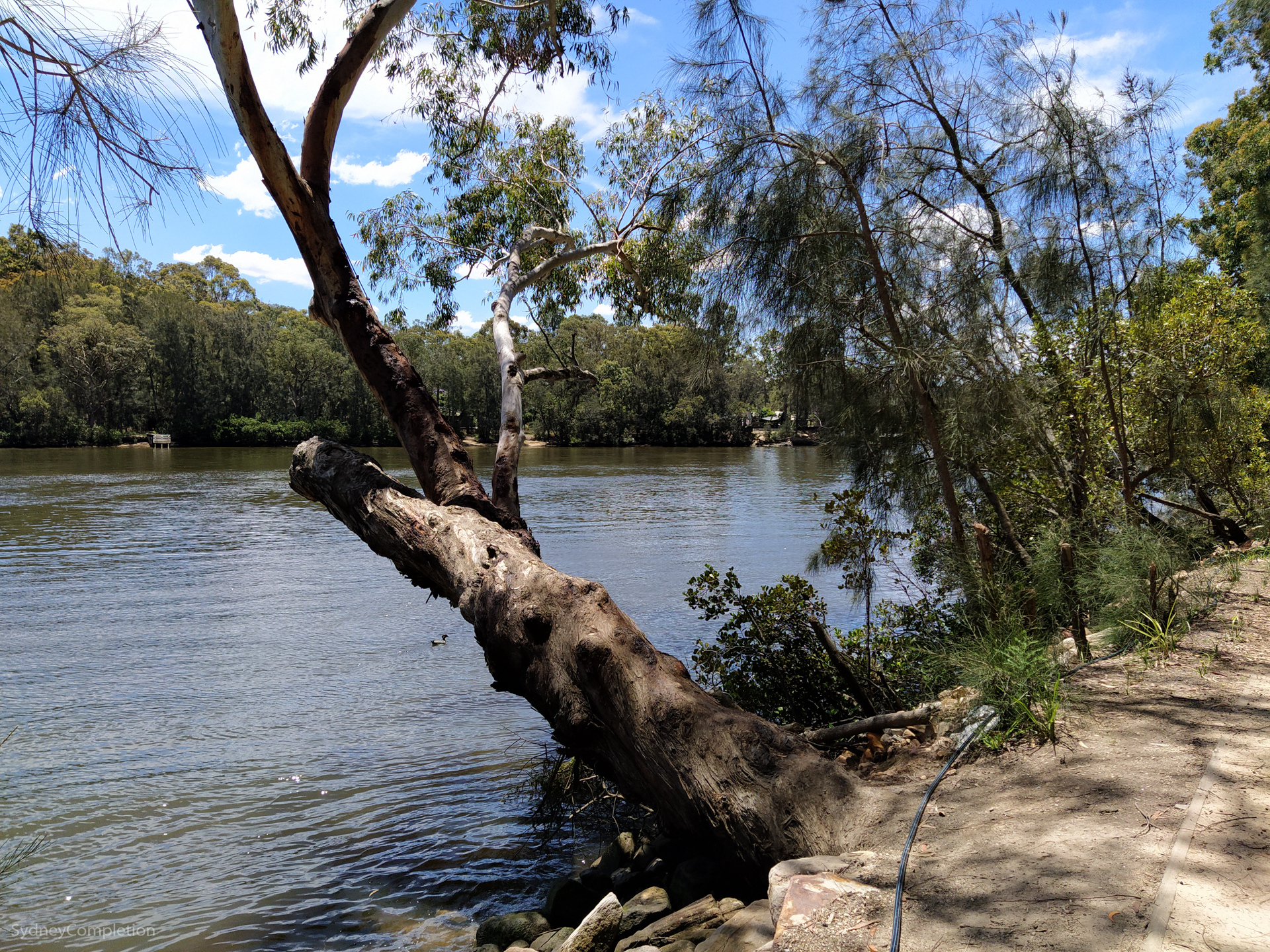 Recreational: Picnic Point - Completing Sydney