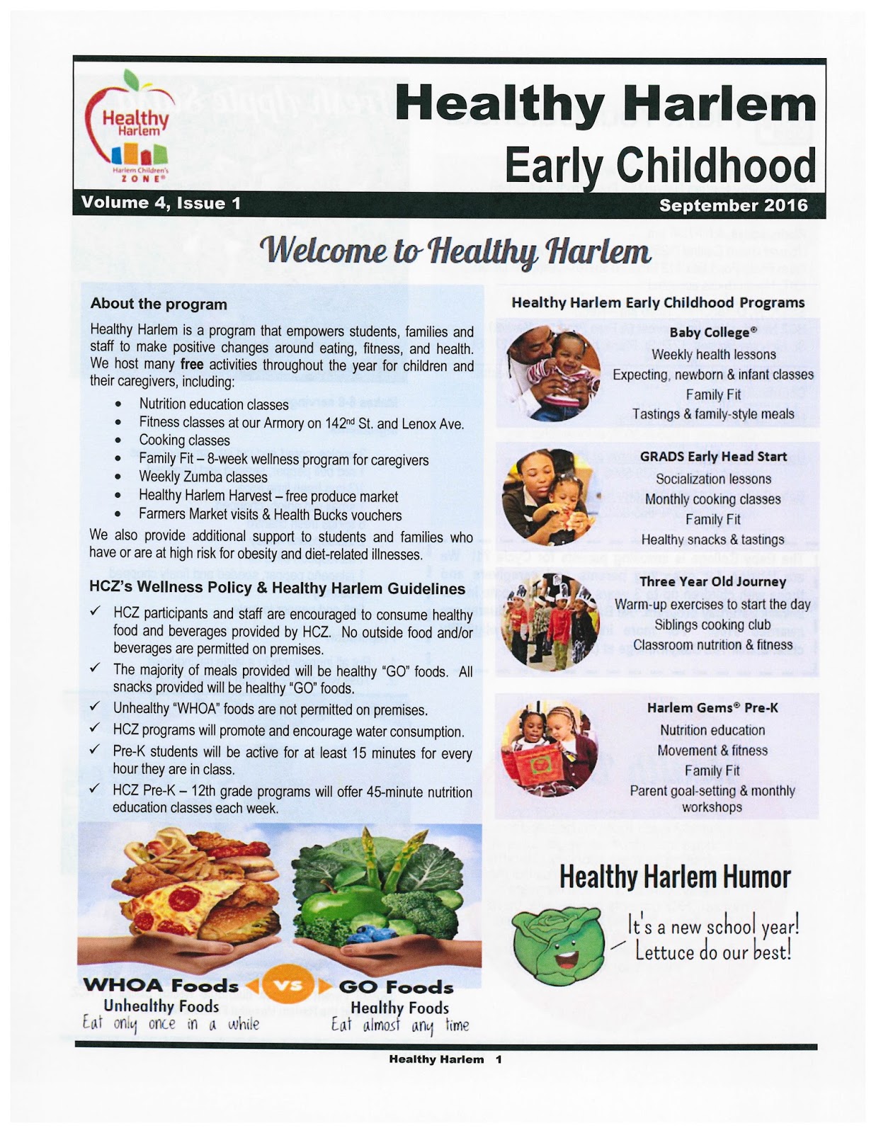 The HCZ Health and Wellness Connection: Healthy Harlem Early Childhood ...