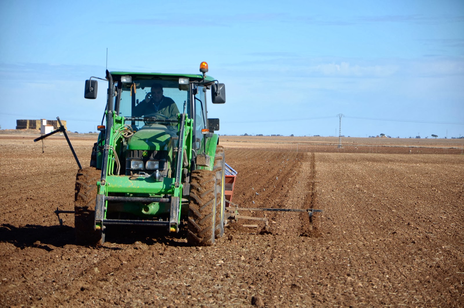 Garlic: Mechanical planter
