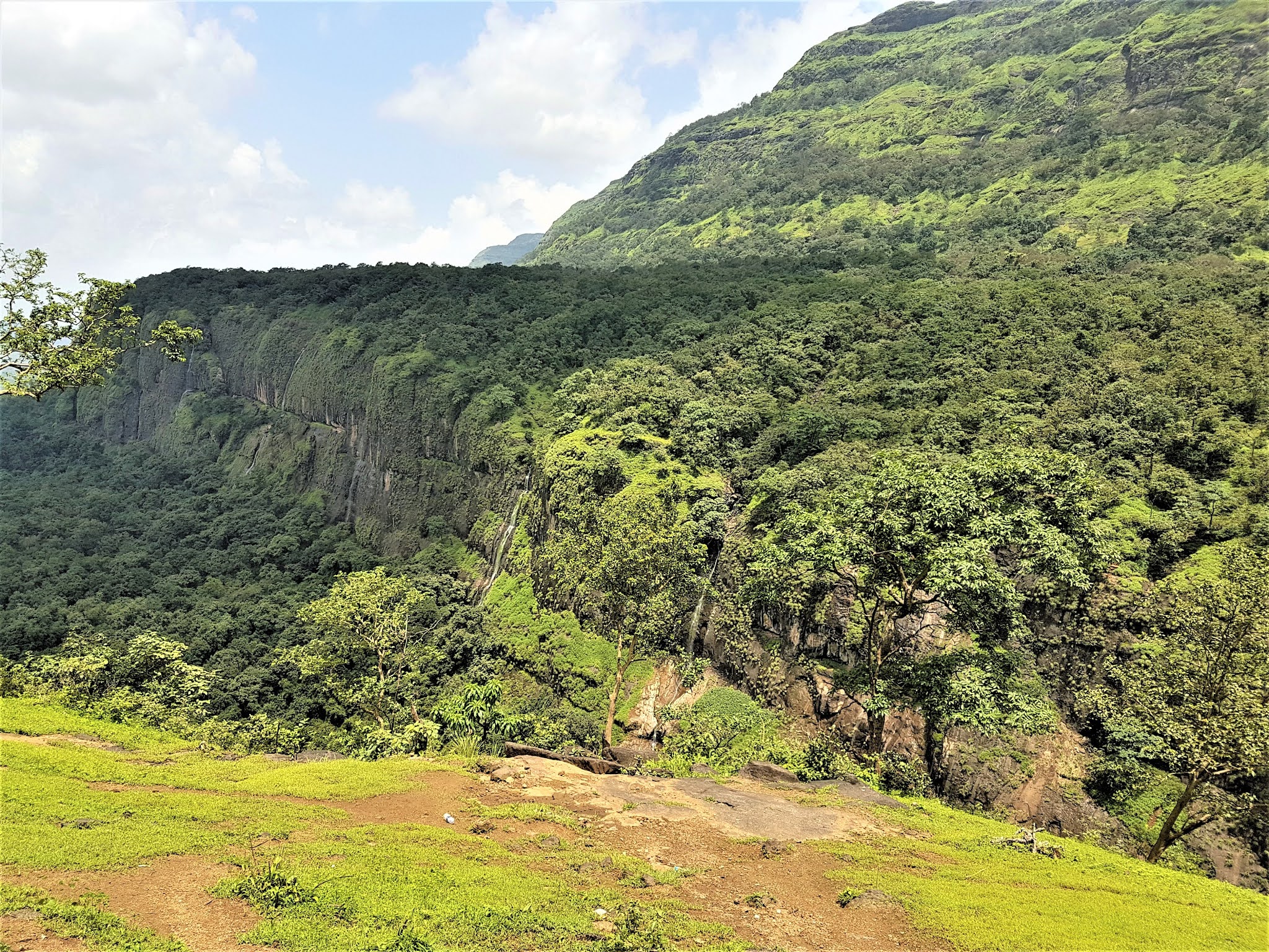 Bhimashankar Trek: A Perfect Combo Pack of Adventure,Nature and ...