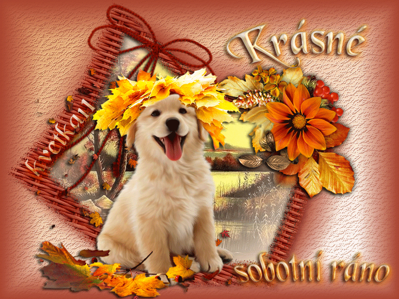 kvetka11: Krásné ráno