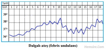 Ateş tipleri ve grafikleri