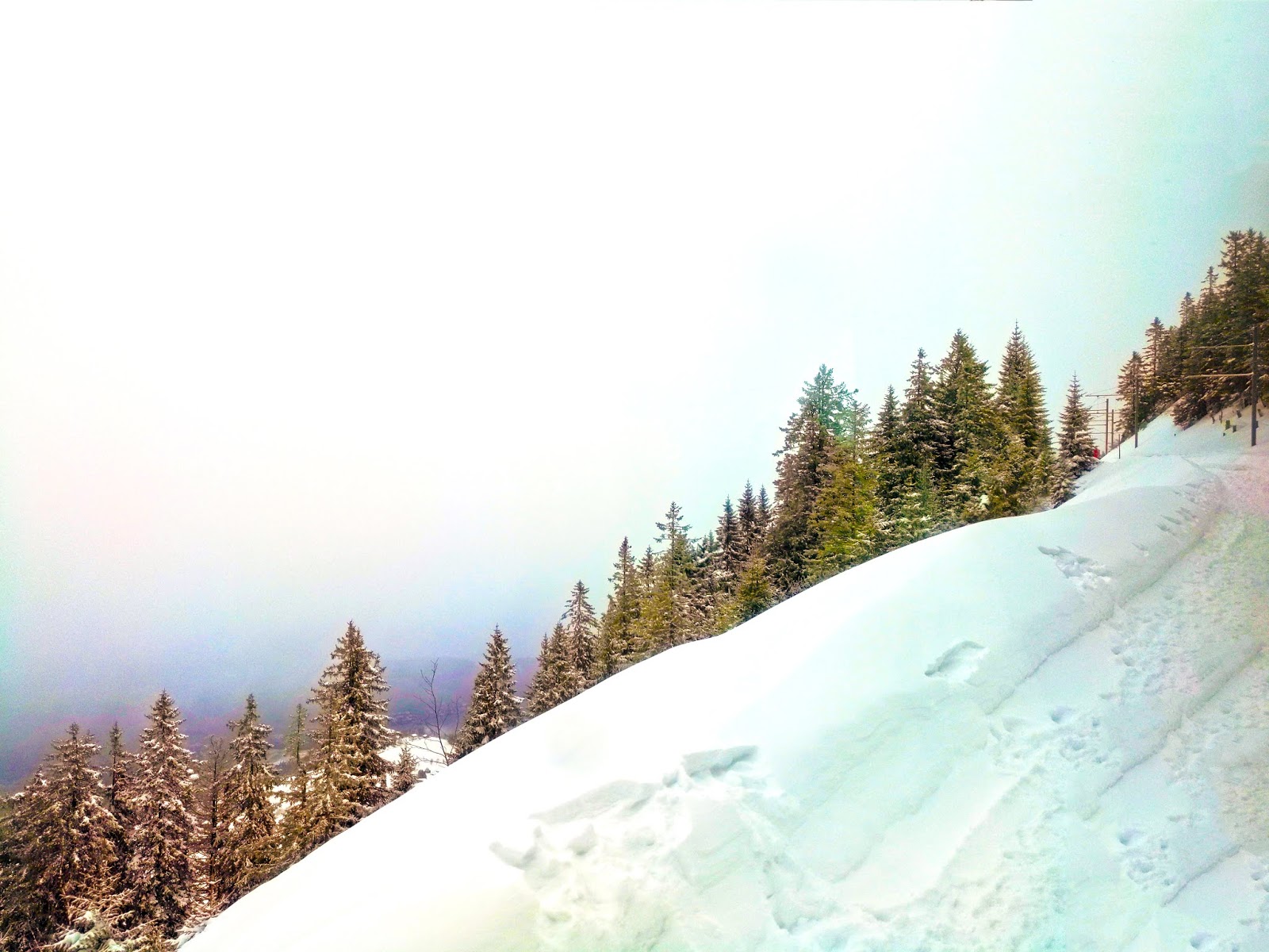 Europe, Switzerland, Alps snow mountains, pine trees in the snow. Check ...