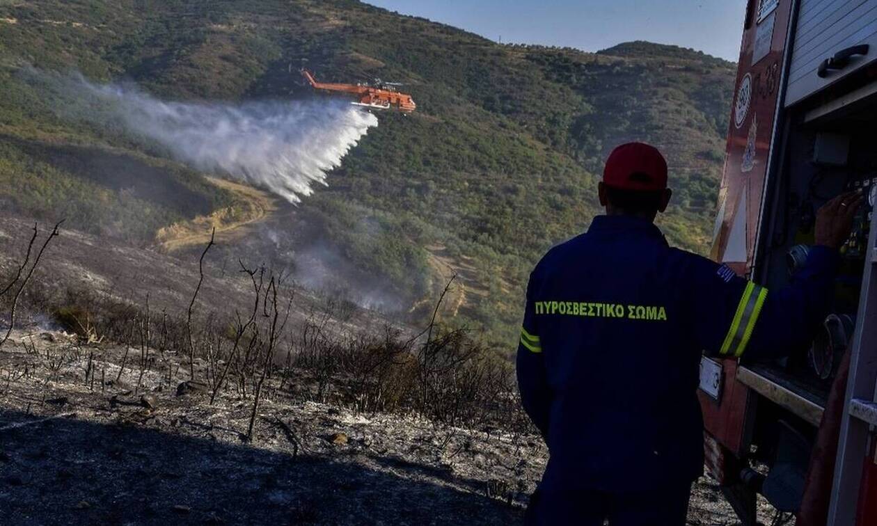 ΣΩΜΑΤΕΙΟ ΠΥΡΟΣΒΕΣΤΩΝ ΜΑΚΕΔΟΝΙΑΣ ΘΡΑΚΗΣ & ΒΟΡΕΙΟΥ ΑΙΓΑΙΟΥ: Σε ύφεση τα ...