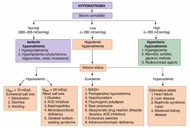 HYPONATREMIA (electrolyte imbalance)