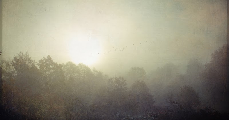 moody morning- applying textures to a misty landscape - updated 2019