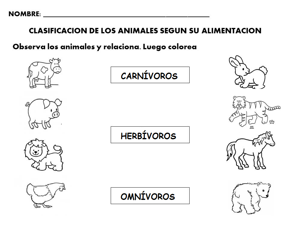 INFANTIL 4 AÑOS LOS OSOS : LOS ANIMALES. CARNÍVOROS, HERBÍVOROS Y OMNÍVOROS