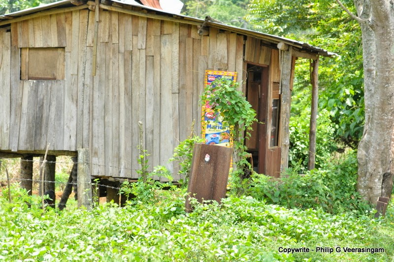 philipveerasingam: Sights on the Kaluaggala - Labugama road, Sri Lanka.