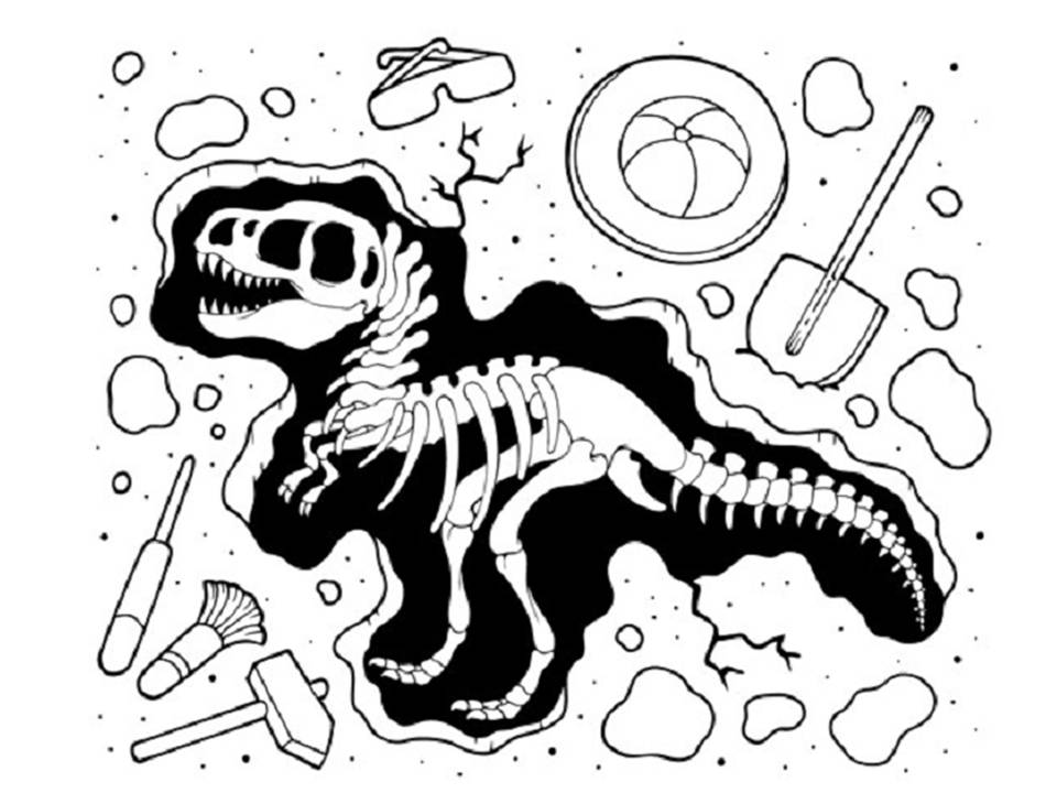 Fossils Coloring Pages Printable Coloring Pages