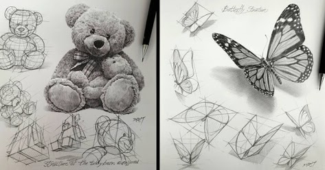 Realistic Teddy Bear Drawing