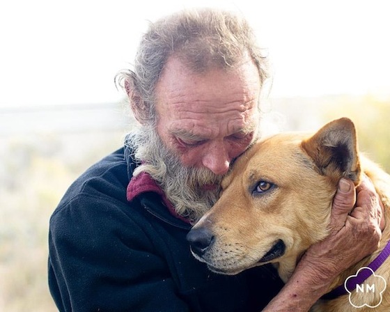 White Wolf : Dog's Love: Beautiful series of pictures showing homeless ...