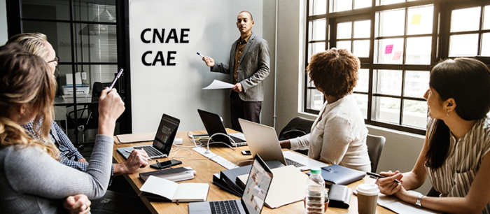 Código CAE:. Classificação Portuguesa de Atividades Económicas (CAE ...