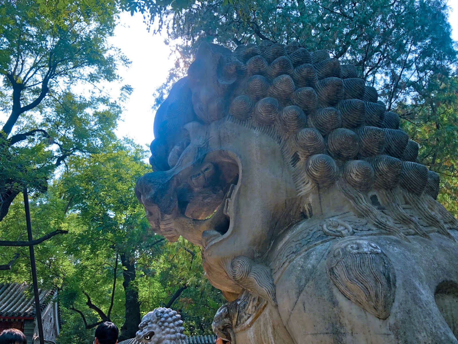 13 Travel Night view of the ancient city of Qingzhou, China - HiArt