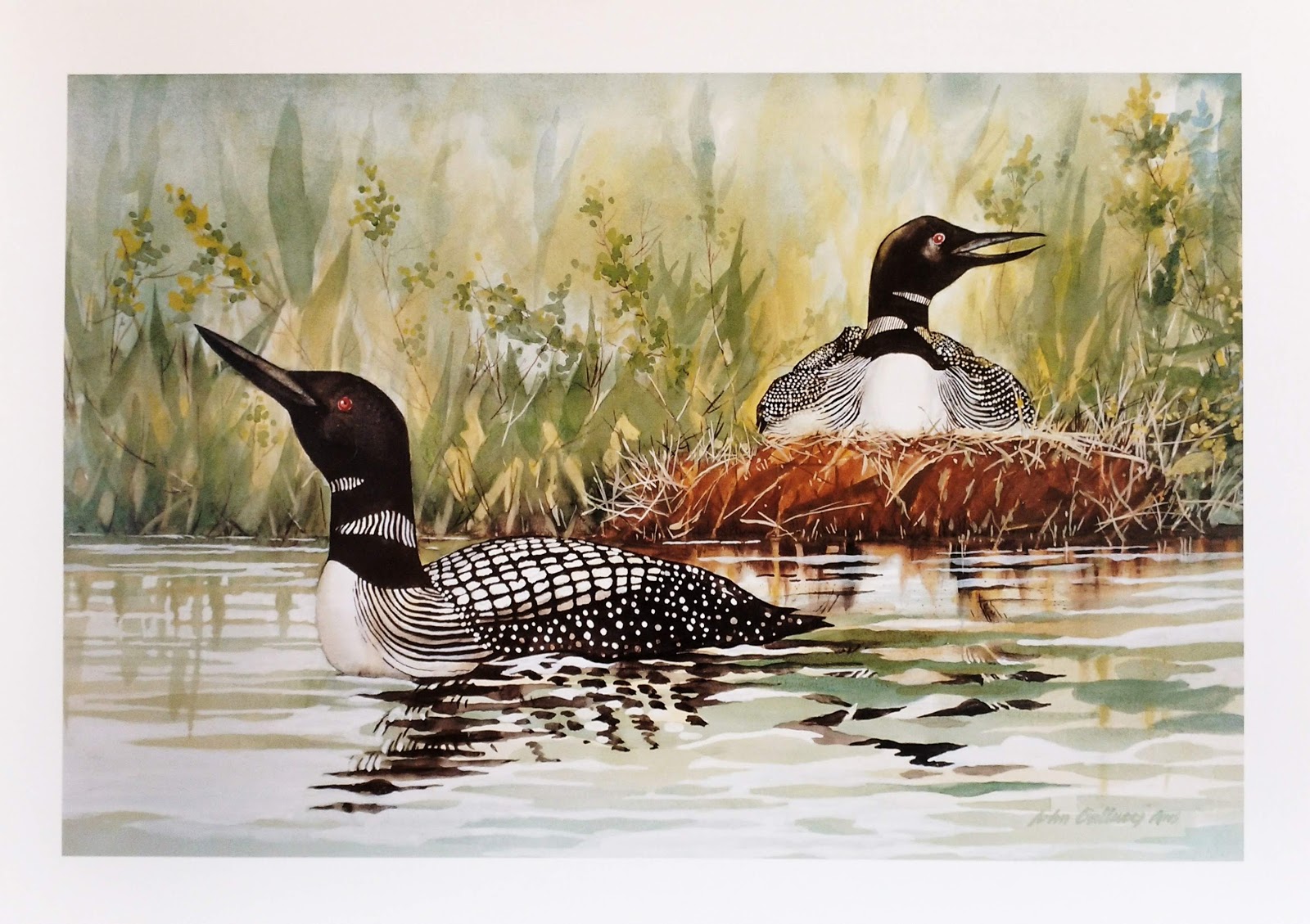 John Gallucci~Watercolor 1918-2009