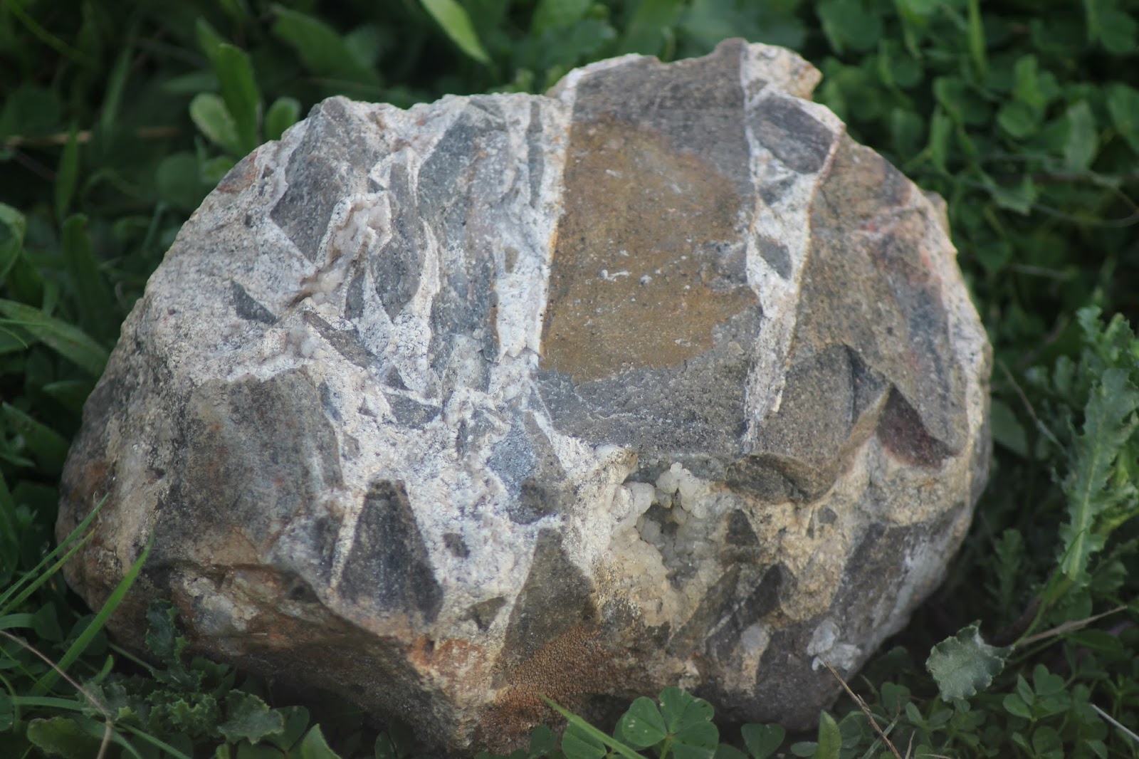 Cáceres al natural: BRECHA