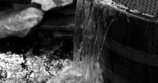 Apple Tree Speech Therapy: The Bucket Analogy: What Causes Stuttering?