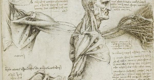 Anatomía Humana Básica: ¿QUÉ ES LA ANATOMÍA?