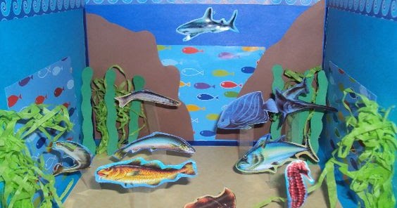 Blog del 2ºCiclo del CEIP Ciudad de Jaen: ECOSYSTEM ART PROJECT