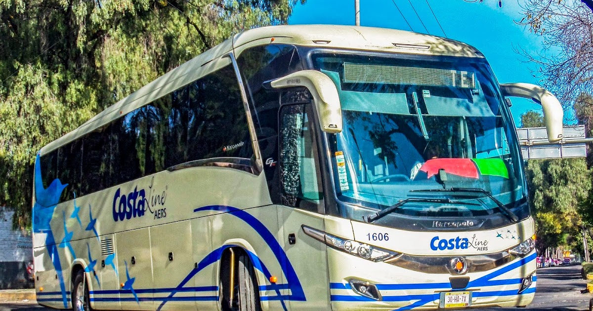 MAXIBUSES: COSTA LINE
