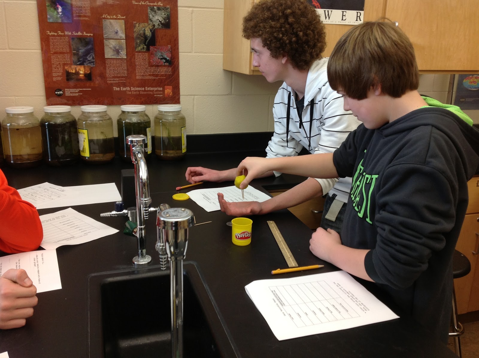 Middle School Science Geek - Mr. King: Response to Stimulus Lab