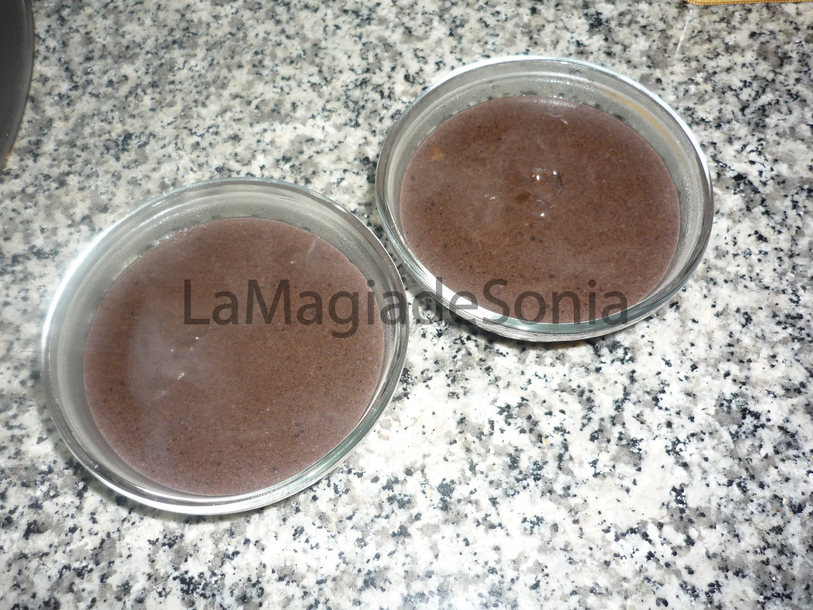 La Magia de Sonia: Macetas de Fango y Arena Con Gusanos.