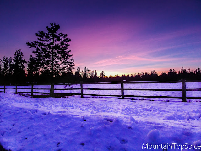 February's Winter Sunshine | Mountain Top Spice