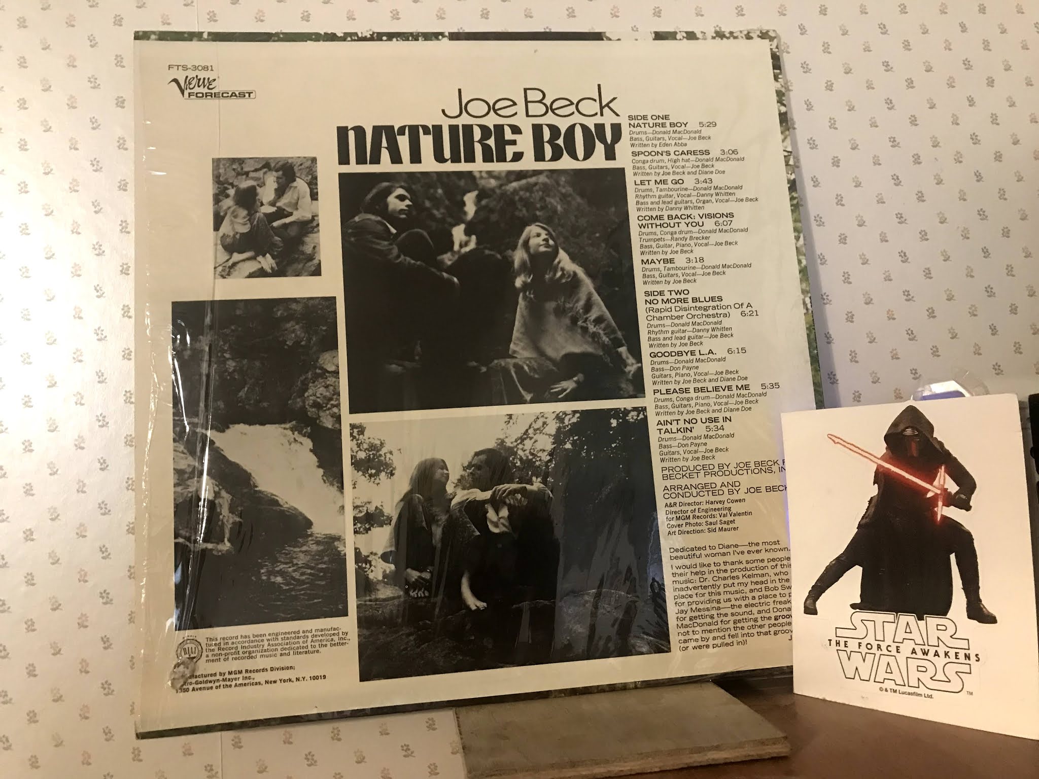 TCCDM Pulls One Out..."Nature Boy" - Joe Beck (1969)