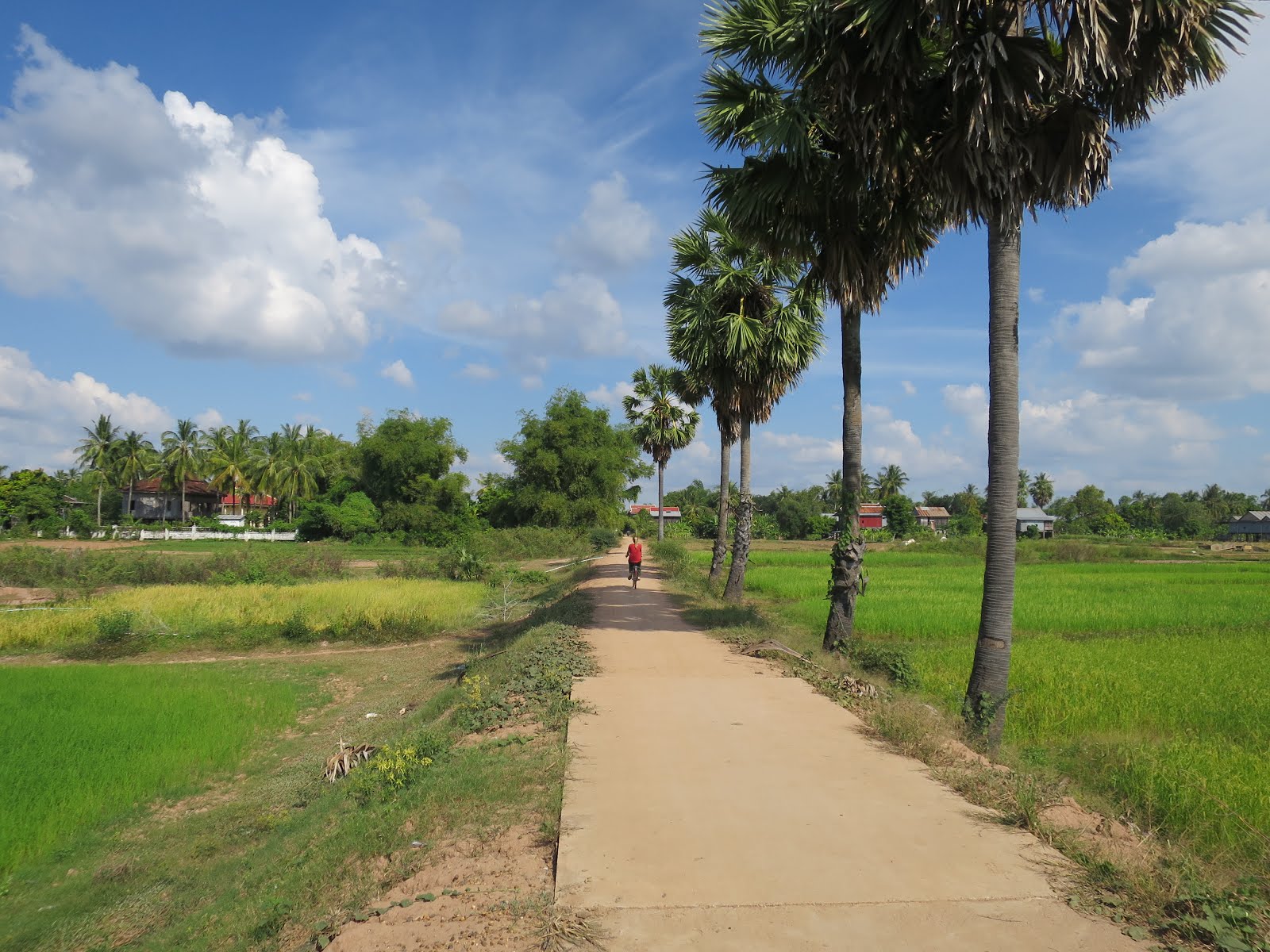Koh Trong | Kratie | Cambodia: Road Building On Koh Trong