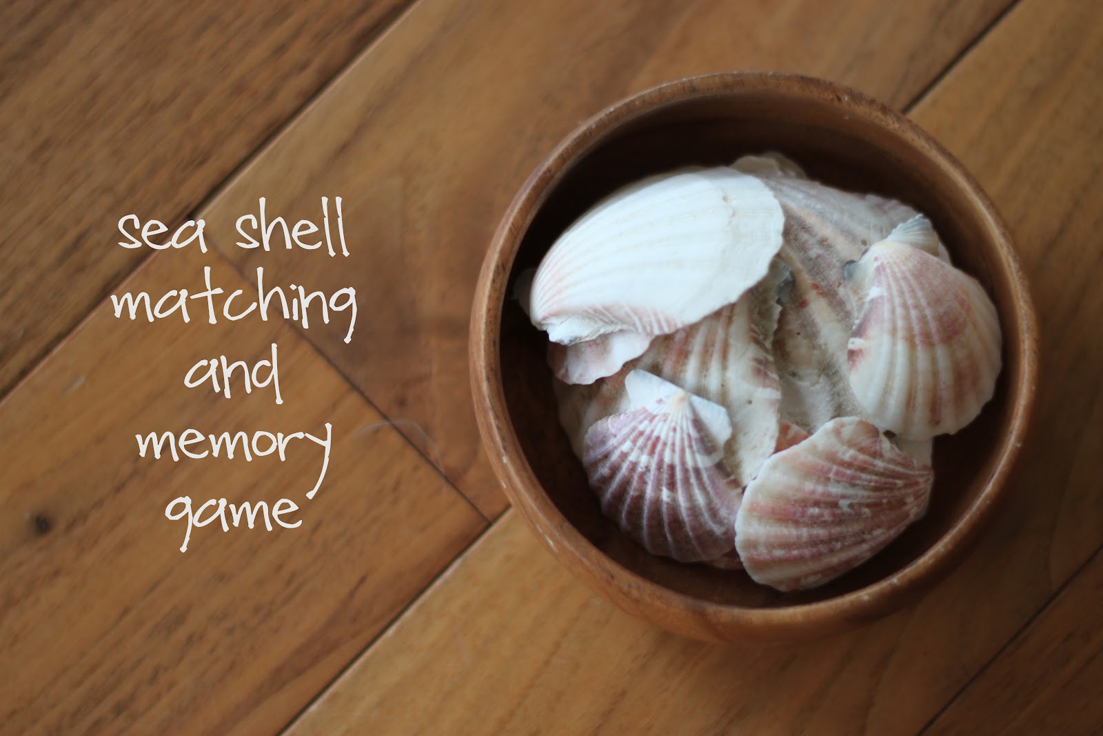 Playing House: DIY Sea Shell Matching and Memory Game
