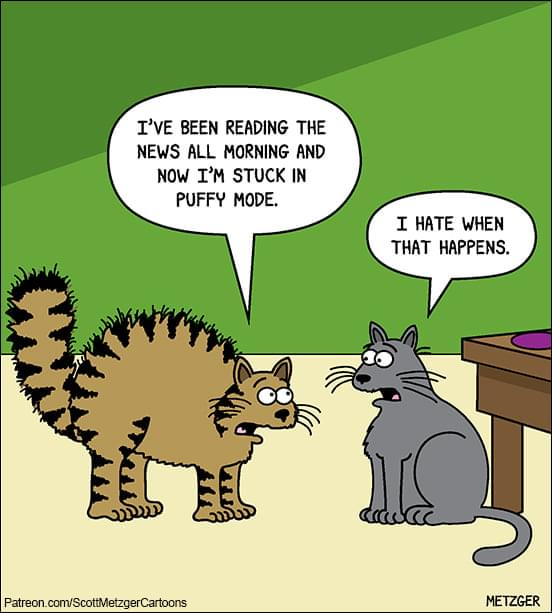 Oddball Observations : THE FRIDAY FUNNIES