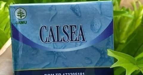 CALSEA PLUS / NASA NCL - Nasa Tanjung