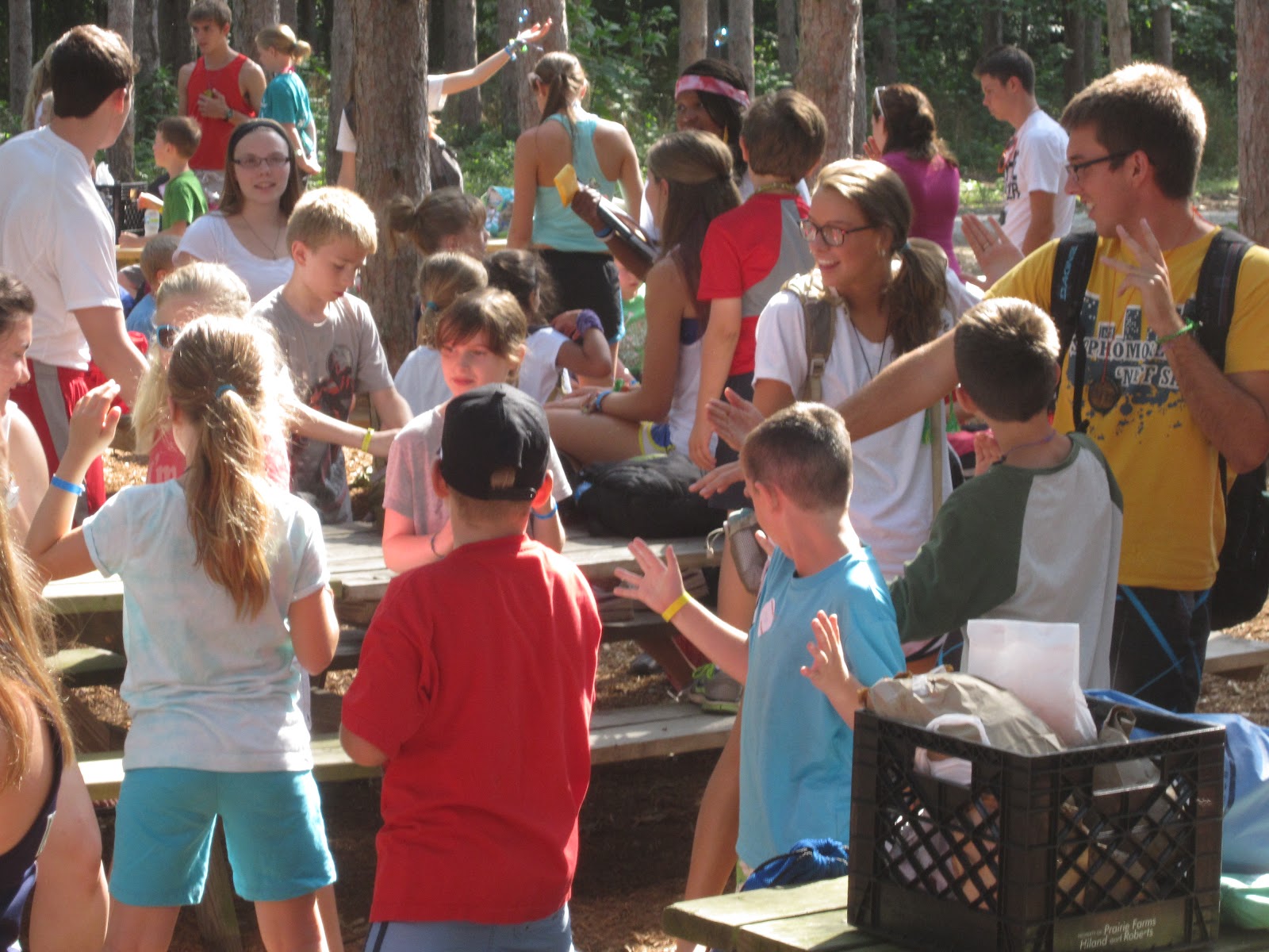 Overlap: Want to know how to have fun at Camp Tecumseh?