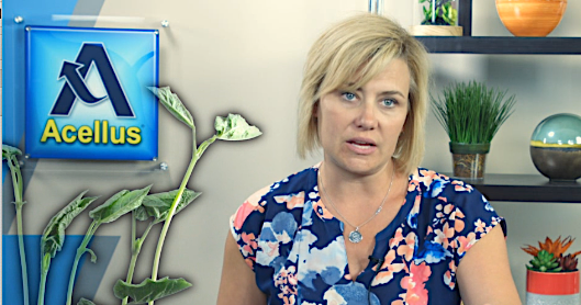 Roger Billings - Acellus Educator Blog: Acellus Releases Principles of ...