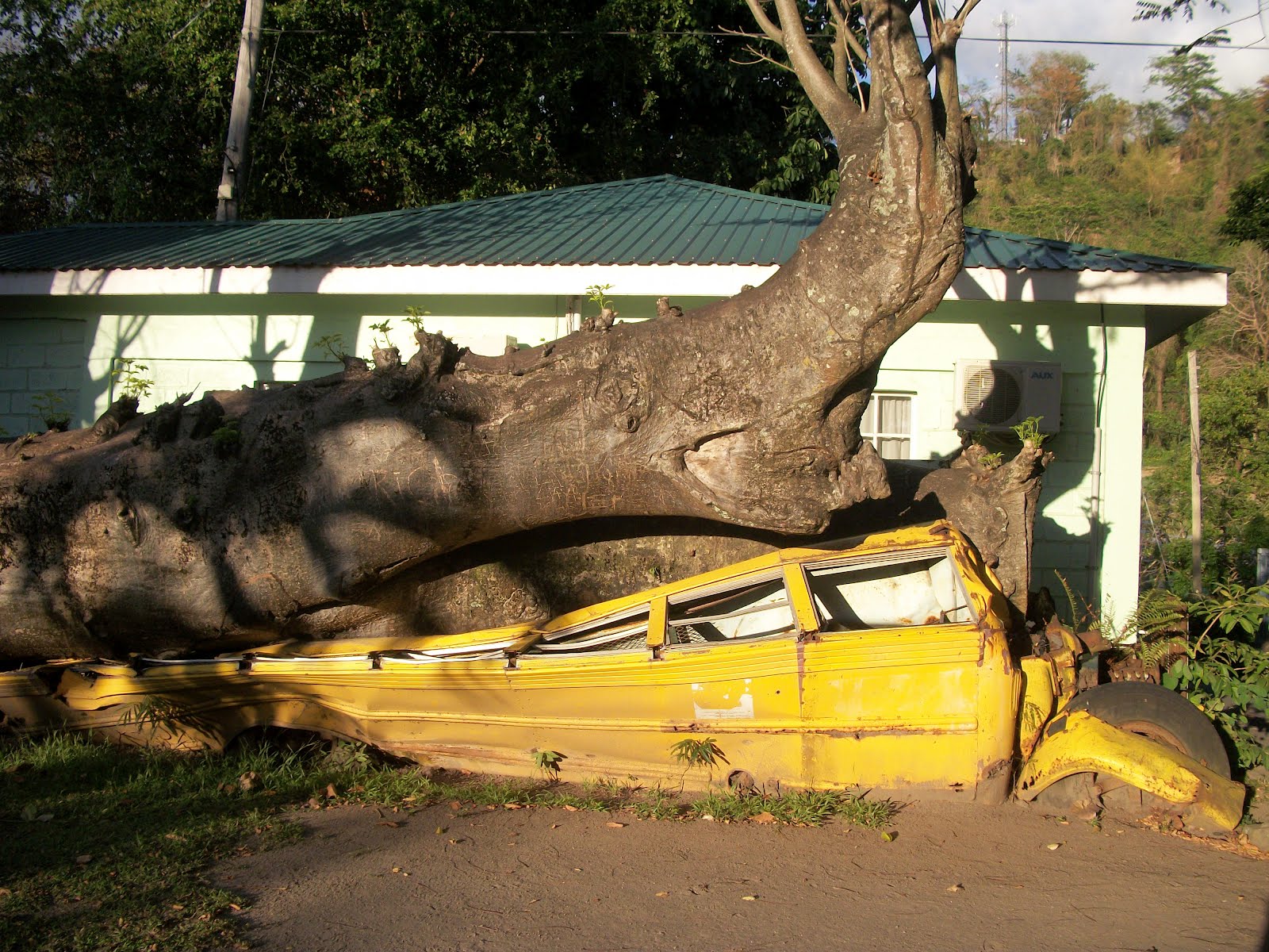 jouljet: Squashed Bus in Roseau